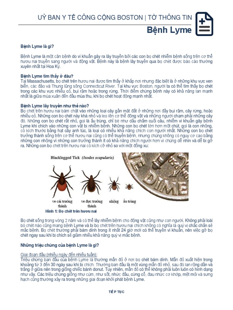 Vietnamese Lyme | PDF