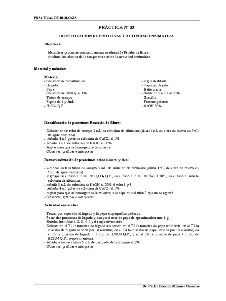 Práctica 3. Protocolo Proteínas | PDF | Proteínas | Hidróxido de sodio