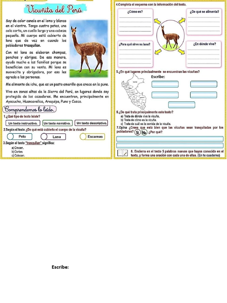 Plan Lector - La Vicuña | PDF