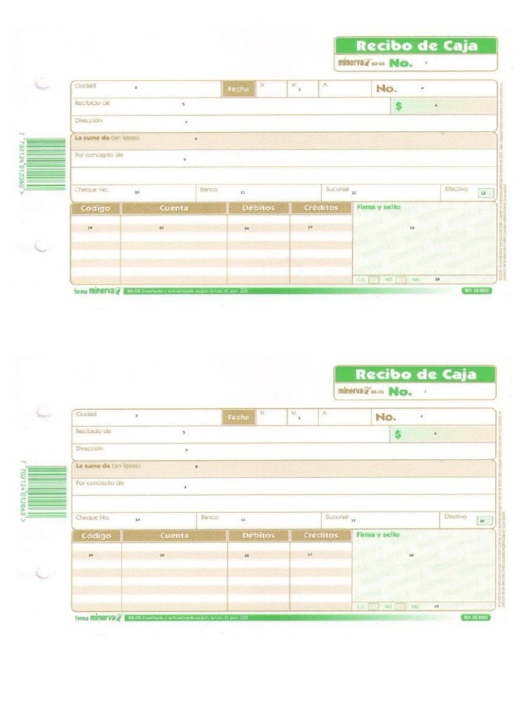 Documentos Contables | PDF
