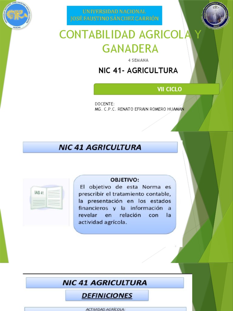Nic 41 Contabilidad Agricola y Ganadera | PDF | Contabilidad | Margen bruto