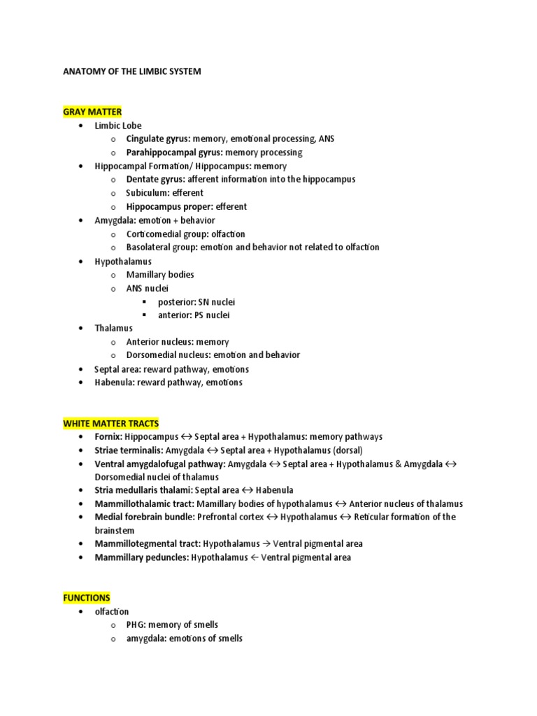 Limbic System Anatomy & Function | PDF | Hippocampus | Cingulate Cortex