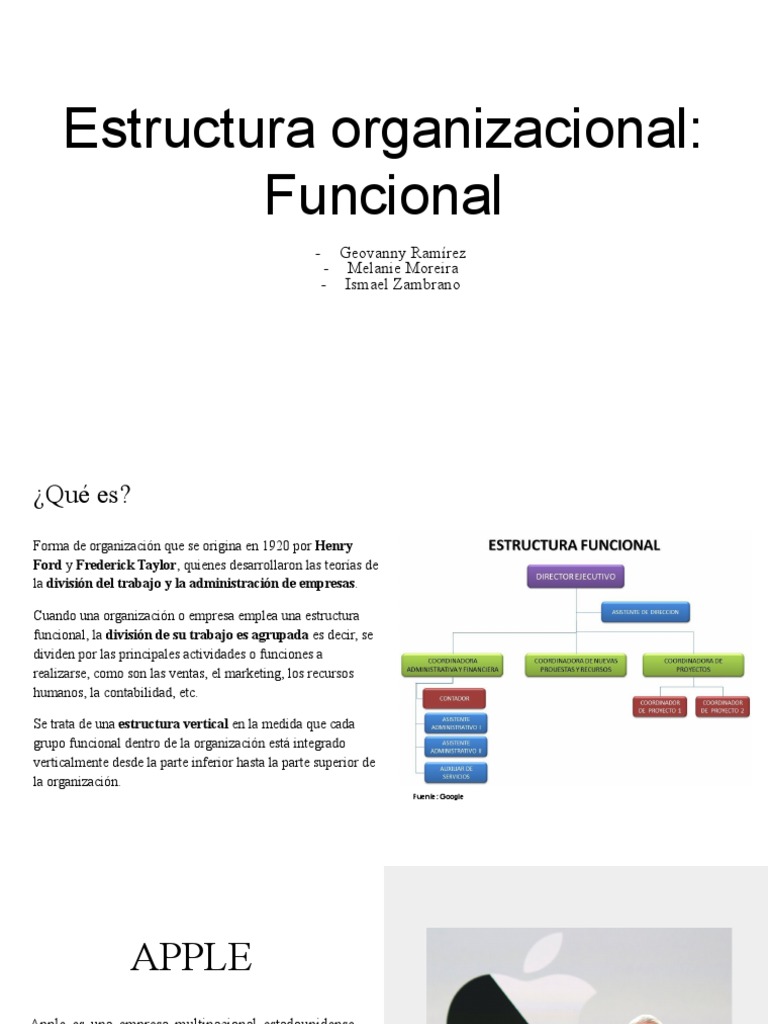 Estructura Organizacional - Funcional | PDF