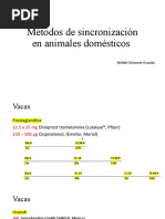 Protocolo de Sincronizacion. Ovsynch | PDF | Vacas | Reproducción humana