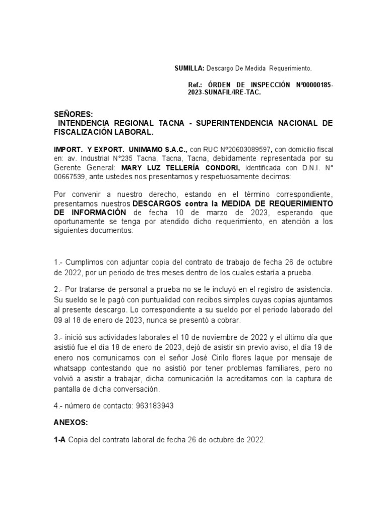 Descargo Sunafil | PDF