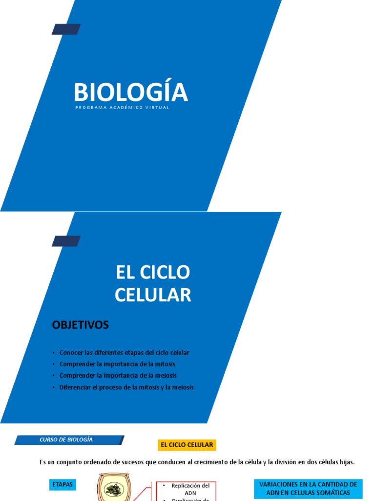 Biología - 10 Ciclo Celular | PDF | Mitosis | Mitosis