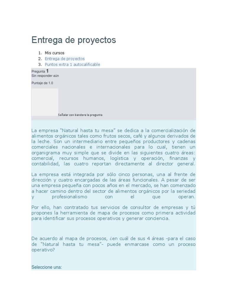 Entrega de Proyectos Puntos Extra | PDF | Logística | Gestión de recursos humanos
