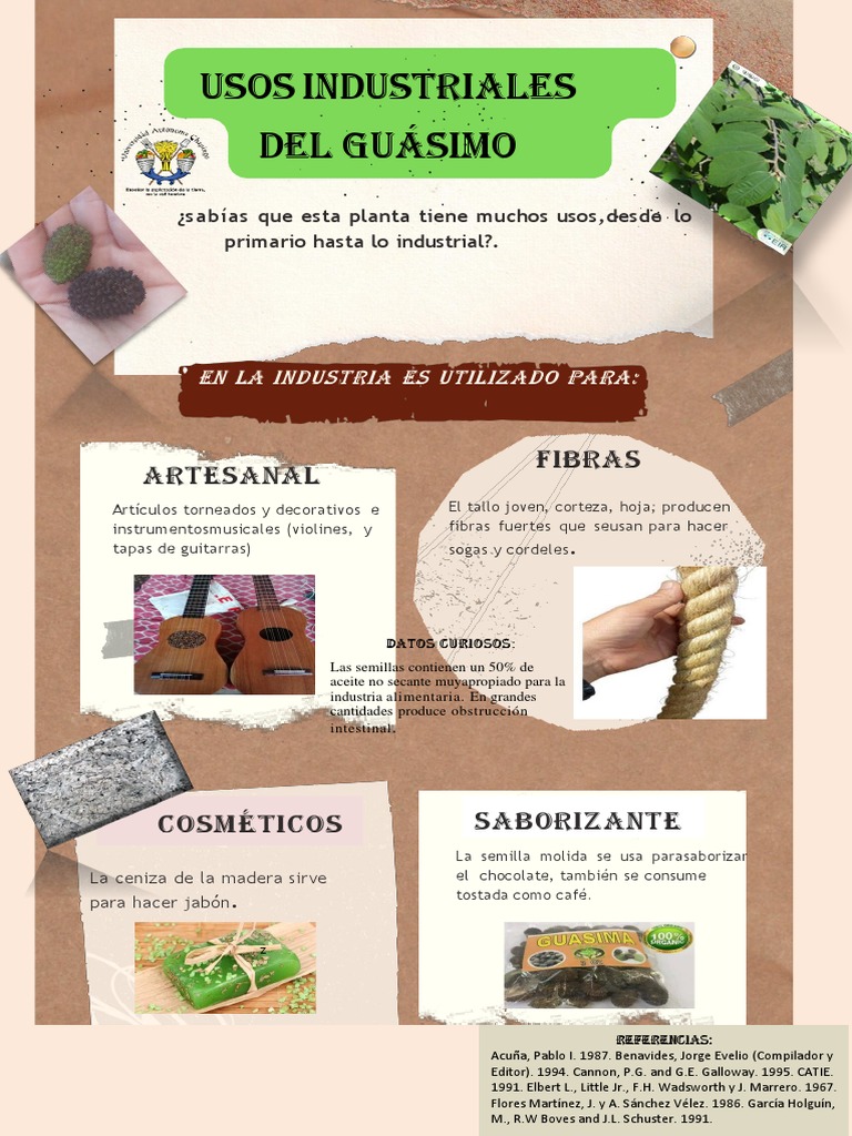 Usos industriales del guásimo | PDF