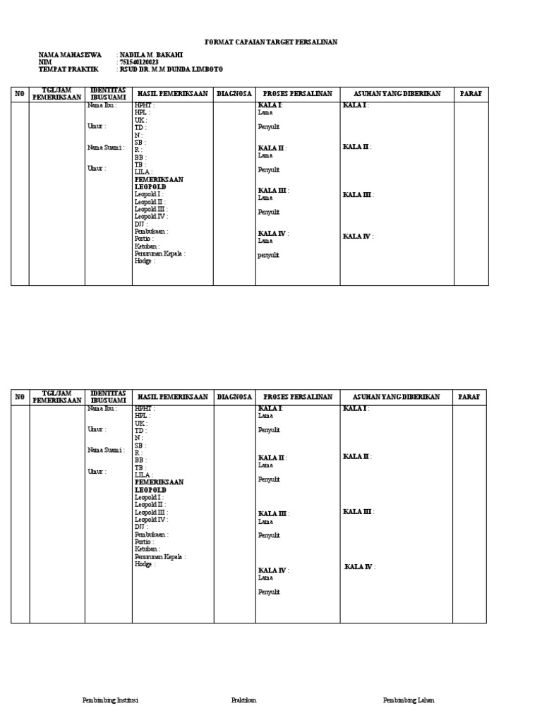 Format Capaian Target Persalinan | PDF