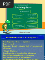 Anatomy of A Dictionary Entry | PDF | Dictionary | Word