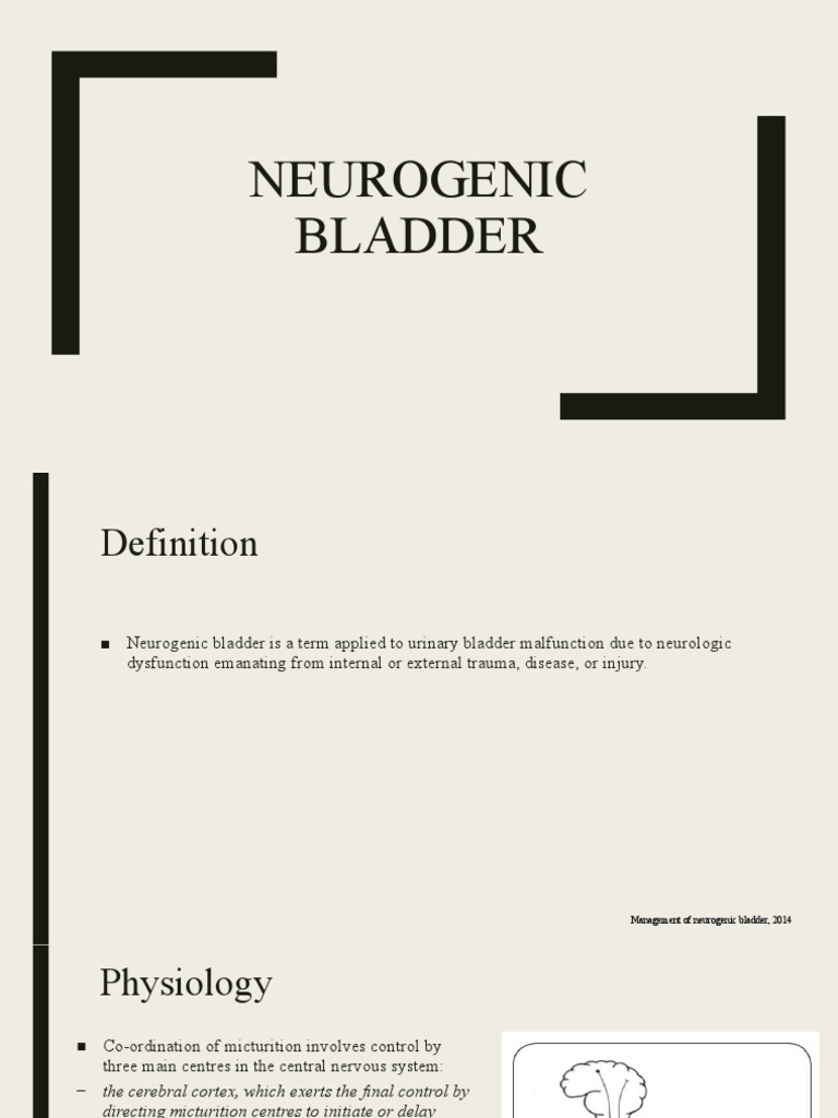 Neurogenic Bladder | PDF | Urinary Incontinence | Urination