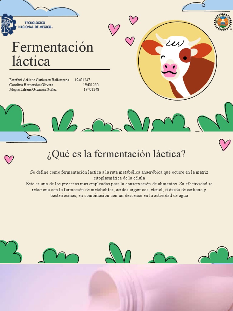 Fermentacion Lactica | PDF | Fermentación | Ácido láctico