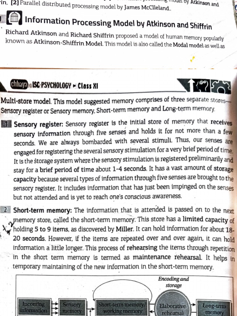 Atkinson Shiffrin Model Class11 | PDF | Memory | Psychology
