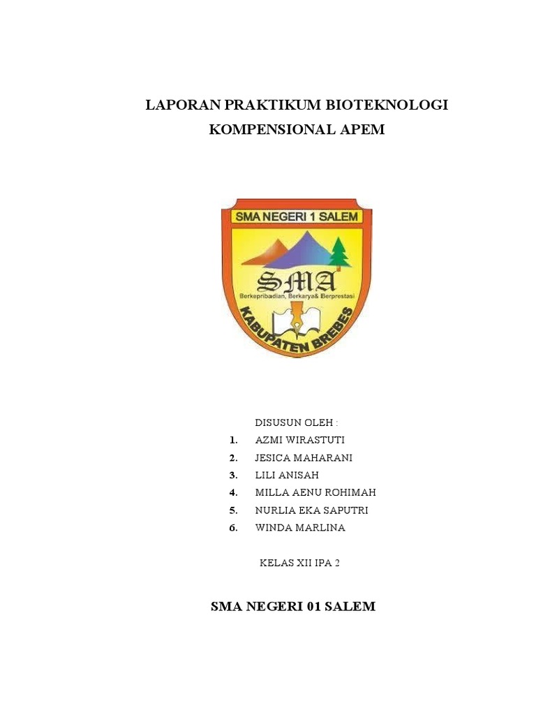 Apem Laporan | PDF | Kesehatan Holistik