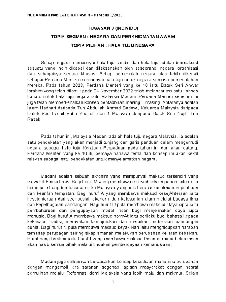 Tugasan 3 Nur Amirah Nabilah | PDF