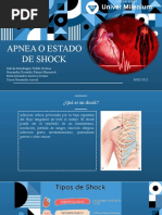Tipos de Shock en Perros: Guía Veterinaria | PDF | Medicina CLINICA ...