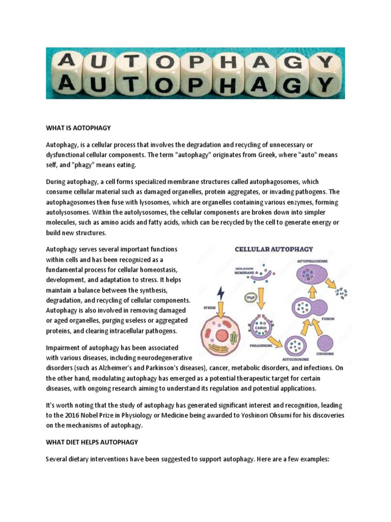 Autophagy | PDF | Self-Improvement | Wellness