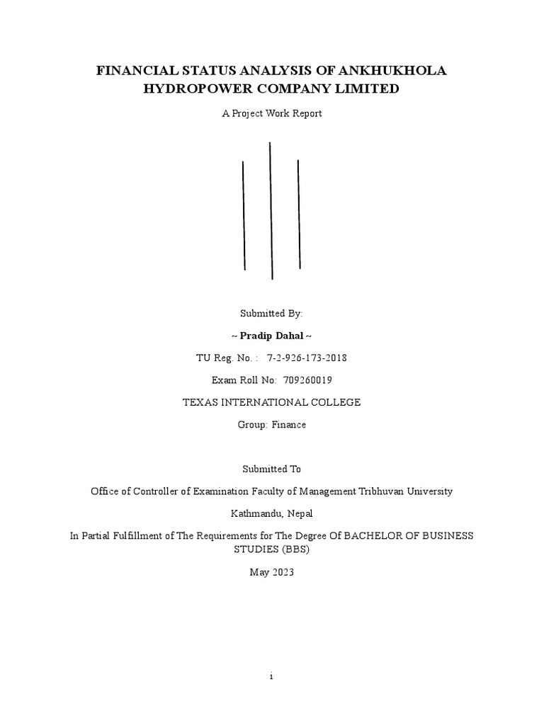 NEW Ankhu | PDF | Finance & Money Management | Technology & Engineering
