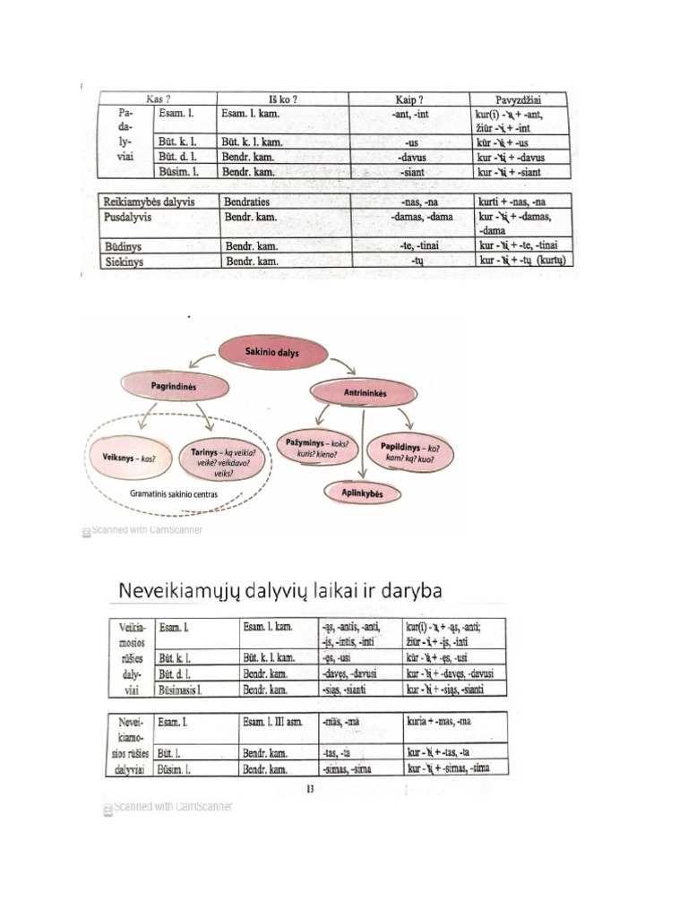 padalyvio darybos lentele | PDF