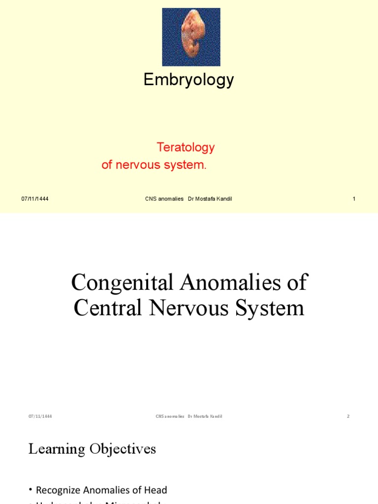 Congenital CNS Anomalies Overview | PDF | Self-Improvement