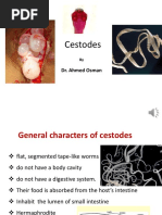 Cestodes (Table) | PDF | Medical Specialties | Diseases And Disorders