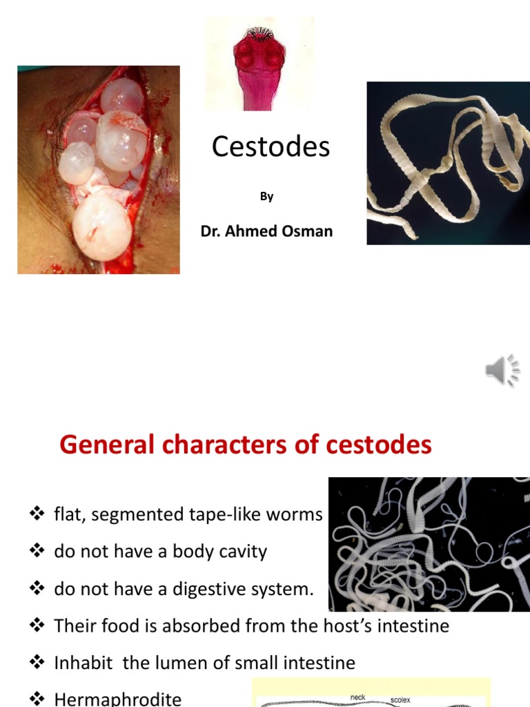 Cestodes: Characteristics and Taeniasis | PDF | Microbiology | Immunology
