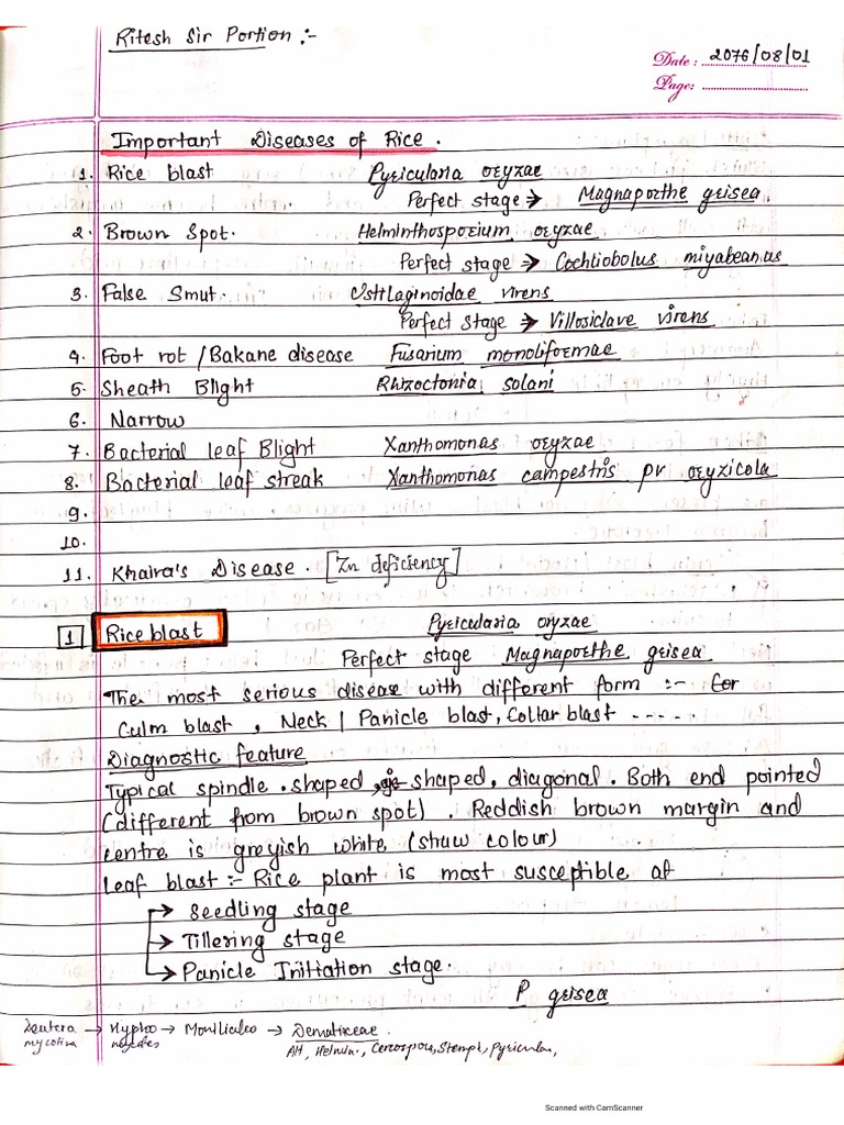 Ritesh Sir Part 1 Note | PDF