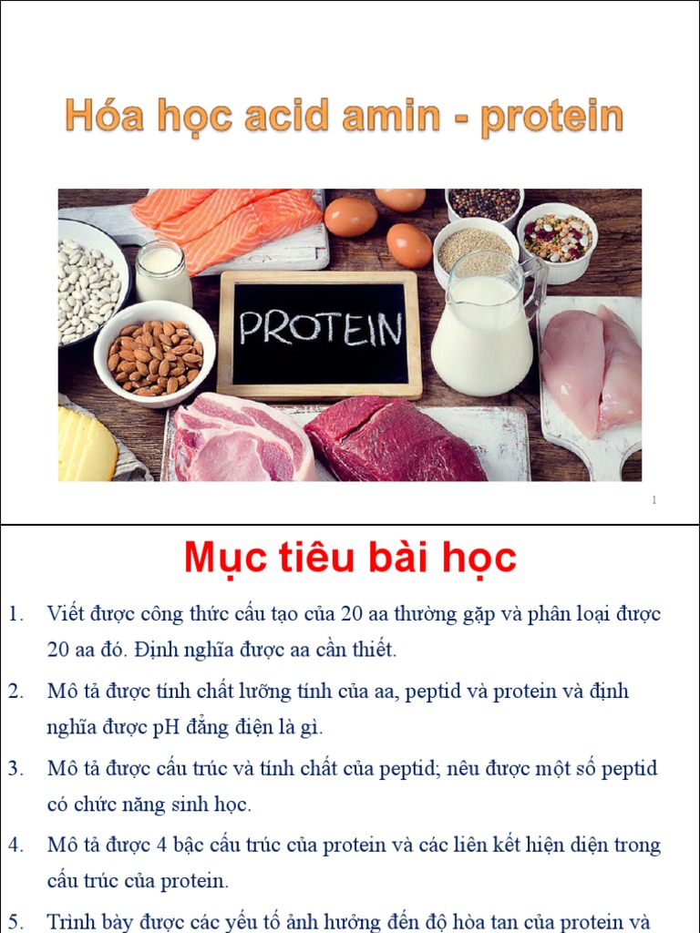 B2. Hóa Học Acid Amin - Protein. Hemoglobin | PDF