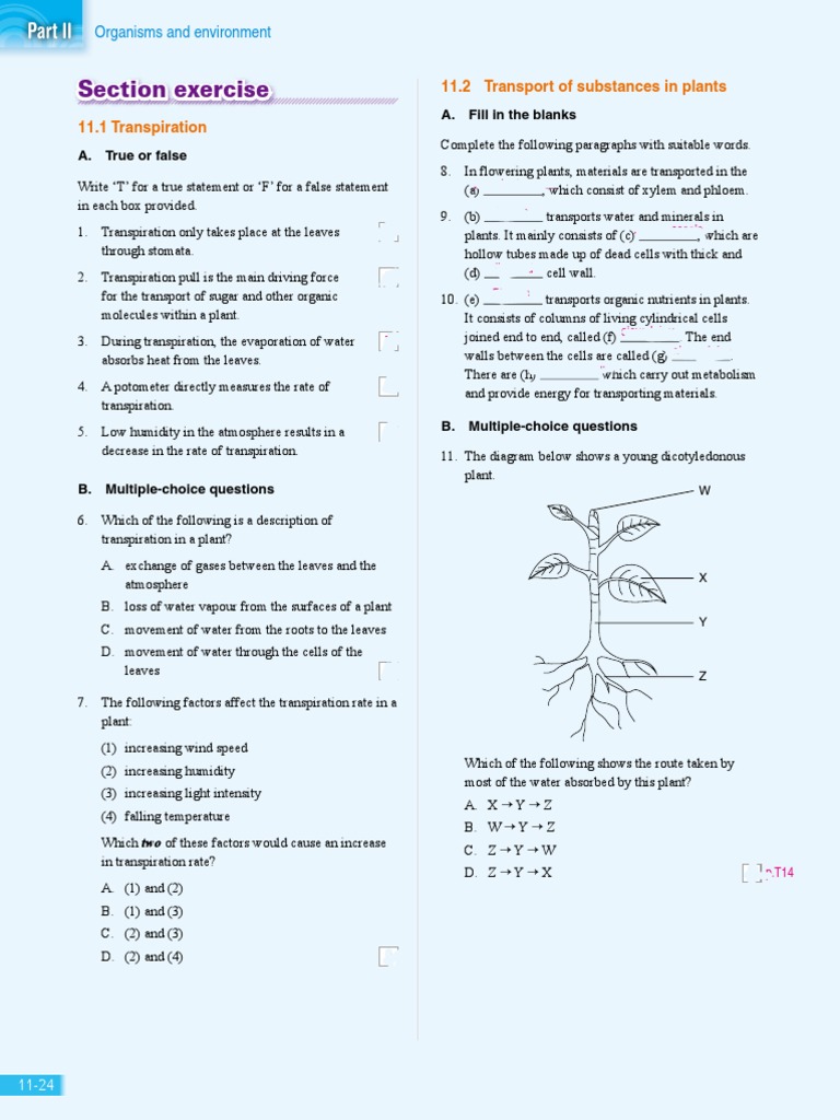 BIO ch11 | PDF