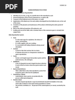 Anatomy of The Cervix, Squamocolumnar Junction, Metaplastic Change and ...