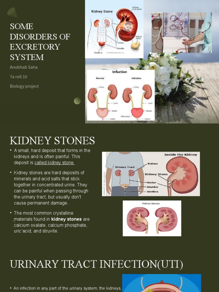 Some Disorders of Excretory System | PDF