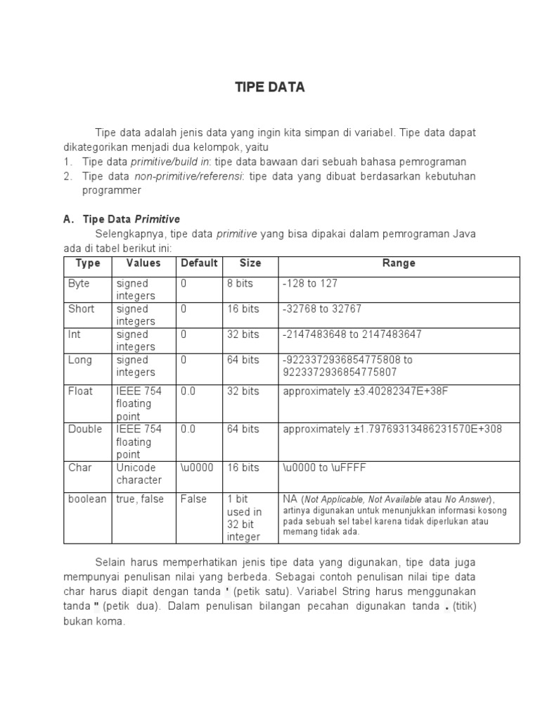 03 Tipe Data | PDF