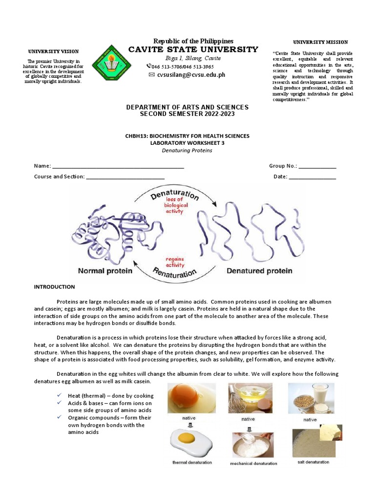 Casein Protein Structure Denatured By Acid