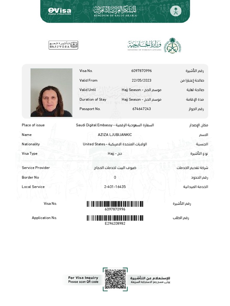 Visa Aziza Ljubijankic | PDF