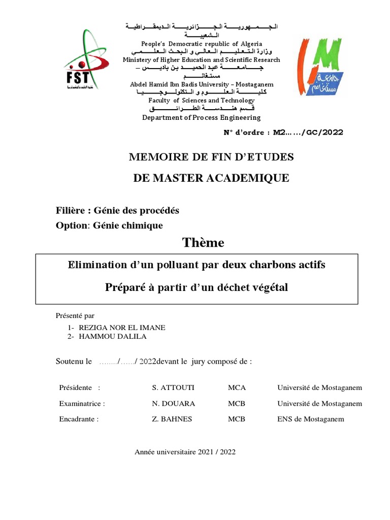 Memoire Final 2022 | PDF