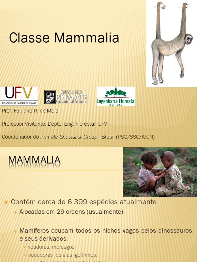 Classe Mammalia Início Manejo Fauna PVANET | PDF | Marsupiais | Mamíferos