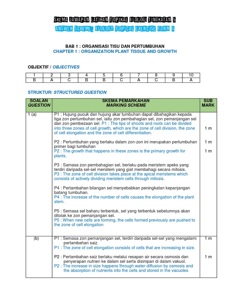 Skema Jawapan Modul Hebat (Topikal T5) - Dwi | PDF