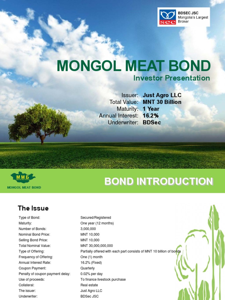 Just Agro Bond | Download Free PDF | Revenue | Lamb And Mutton