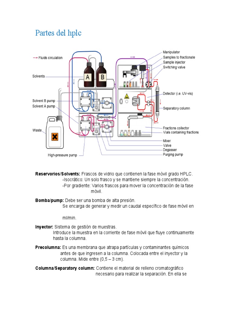 Partes Del HPLC e Interpretación de Cromatograma | PDF | Cromatografía ...