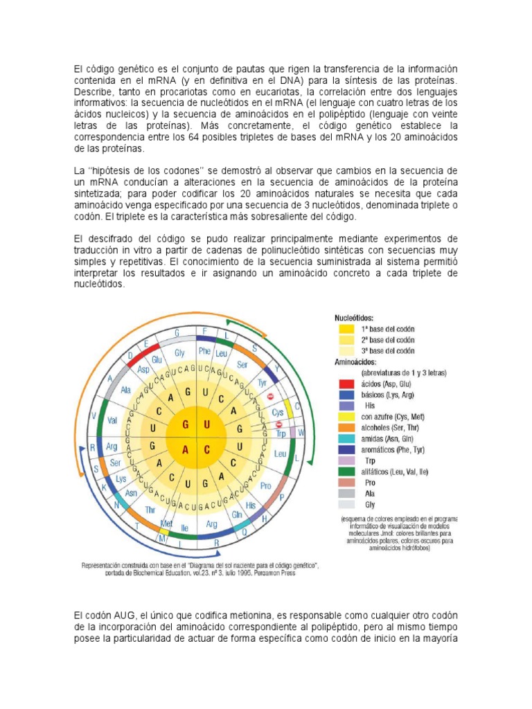 Codigo Genetico | PDF