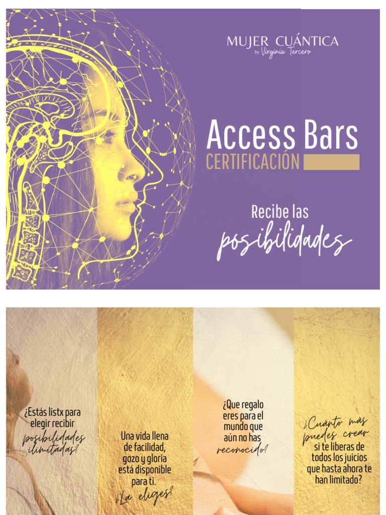 PDF Barras de Access 2023 | PDF