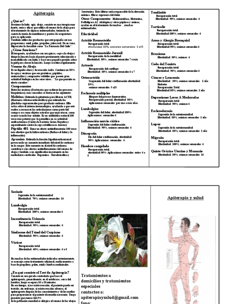 Triptico Apiterapia | PDF