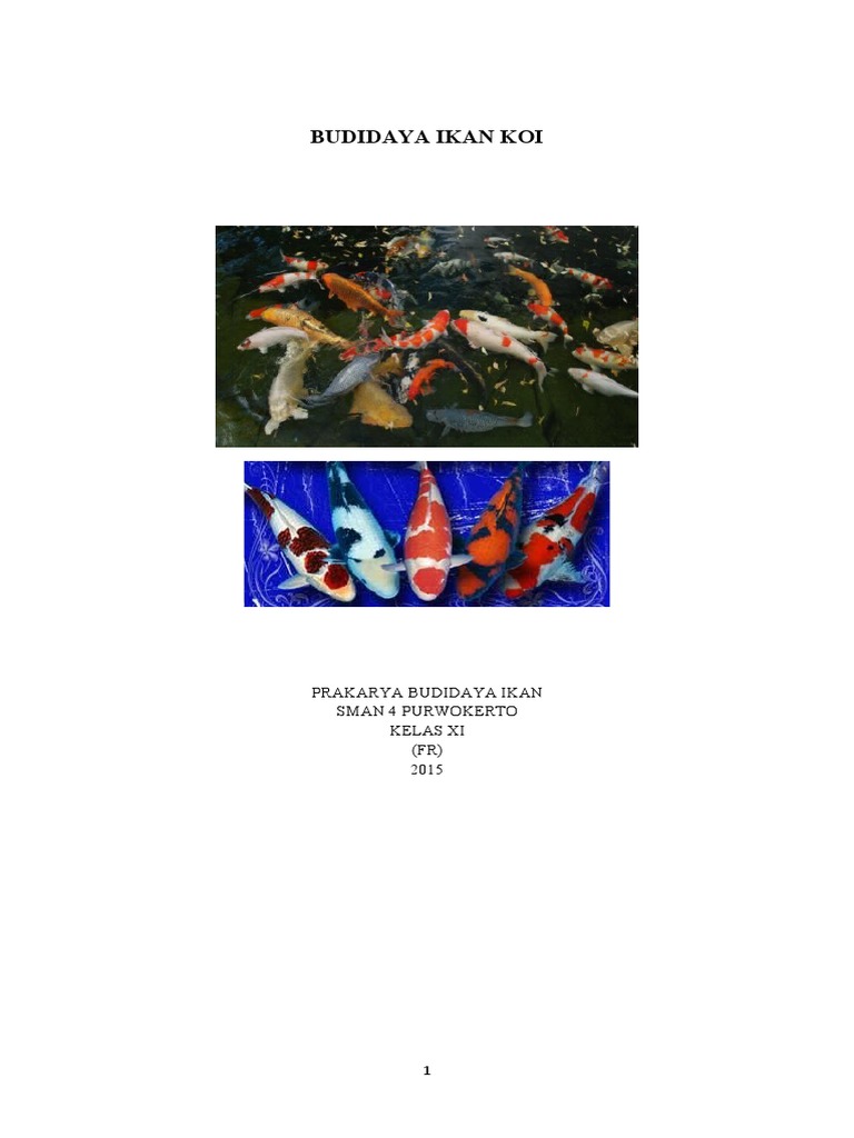 Materi Budidaya Ikan Koi | PDF