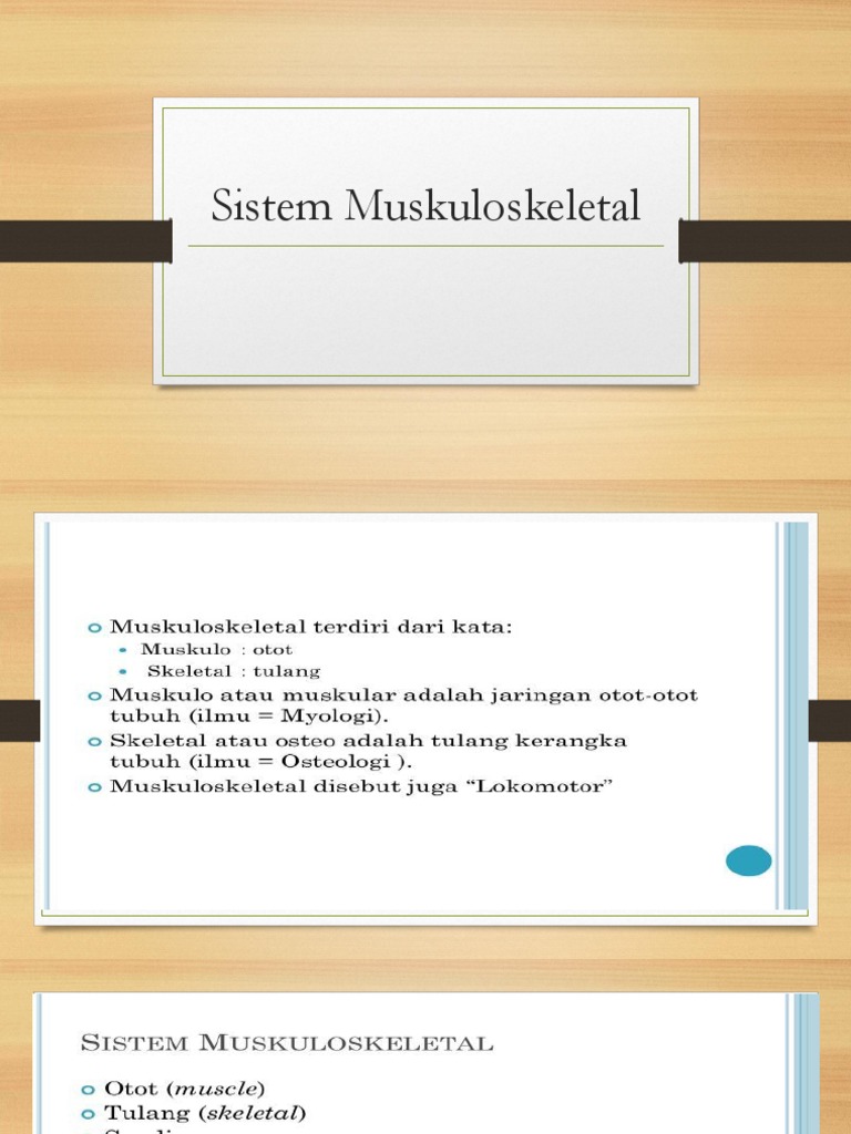 Sistem Muskuloskeletal | PDF
