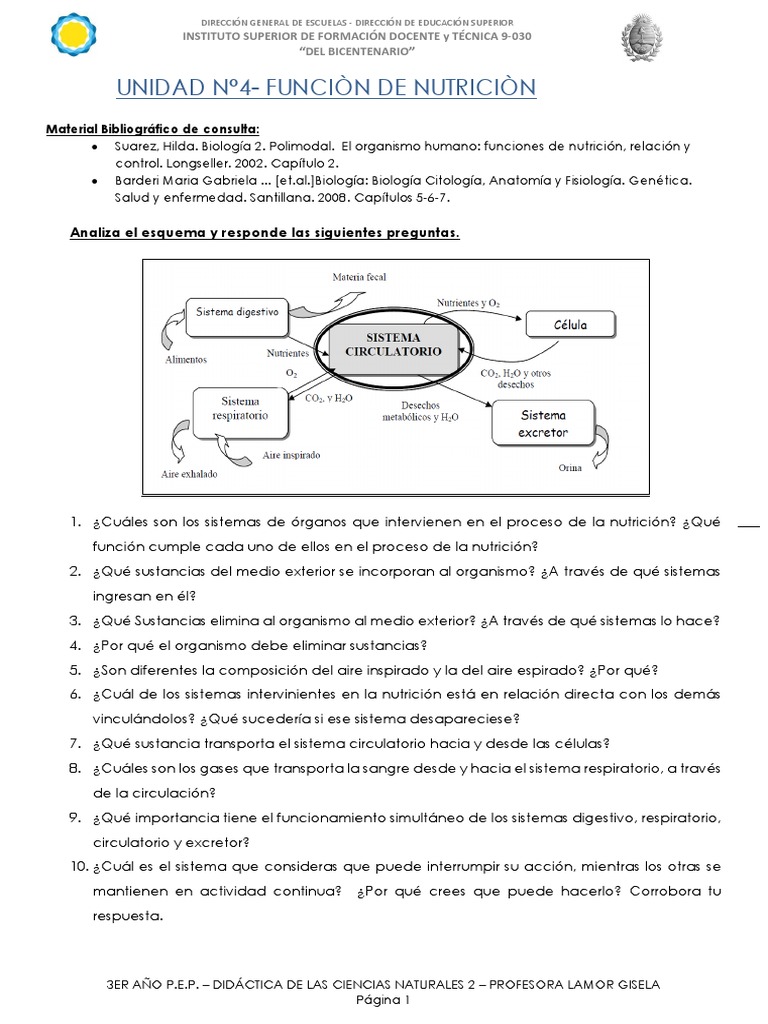 Guia de Actividades Del Funcion - de - Nutricion | PDF | Digestión | Pulmón