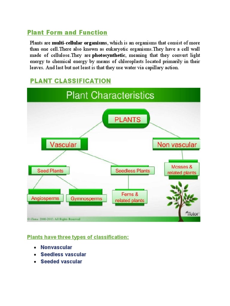 PLANT BIOLOGY Plant Form and Function | PDF | Ploidy | Tissue (Biology)