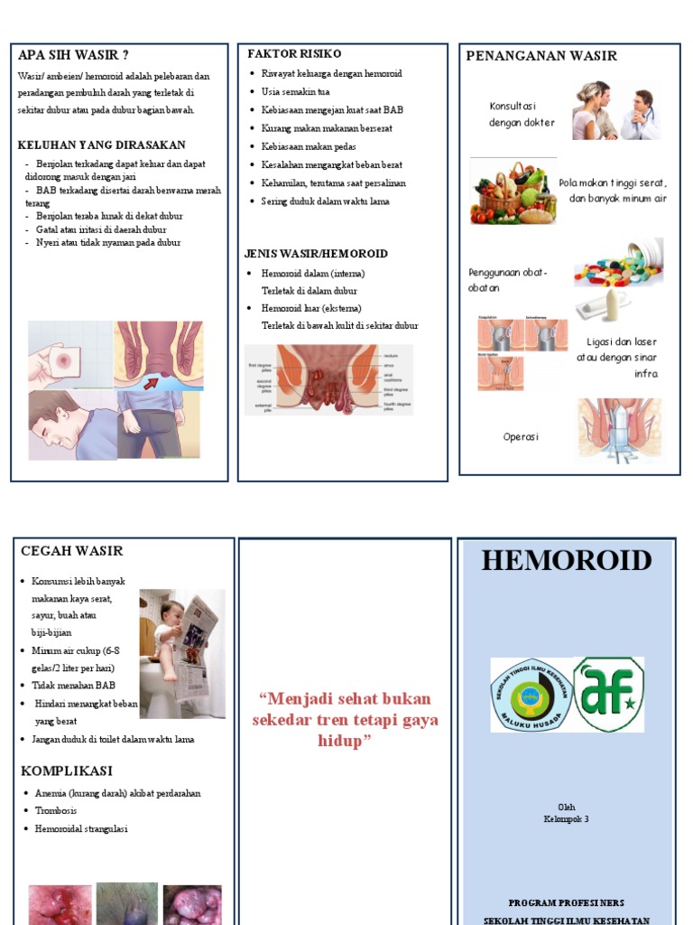Leaflet Hemoroid | PDF