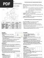Slepá Mapa Povrch A Vodstvo Európy | PDF