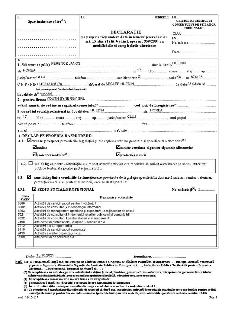 Declaratie Model 2 | PDF