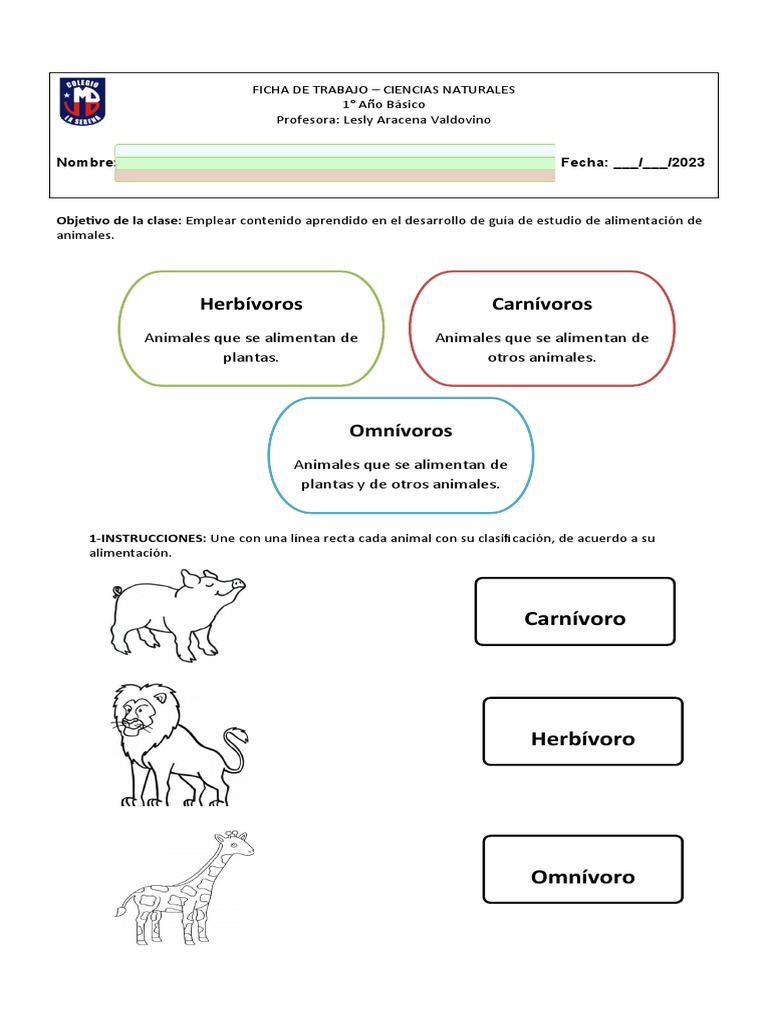 CIENCIAS Guía Alimentacion Animales | PDF